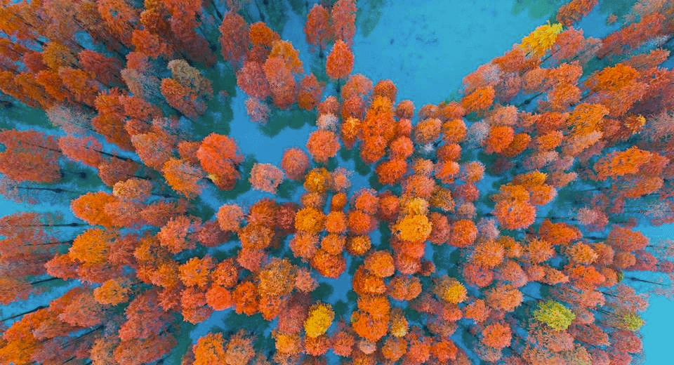 Mac 自带 Apache 默认目录